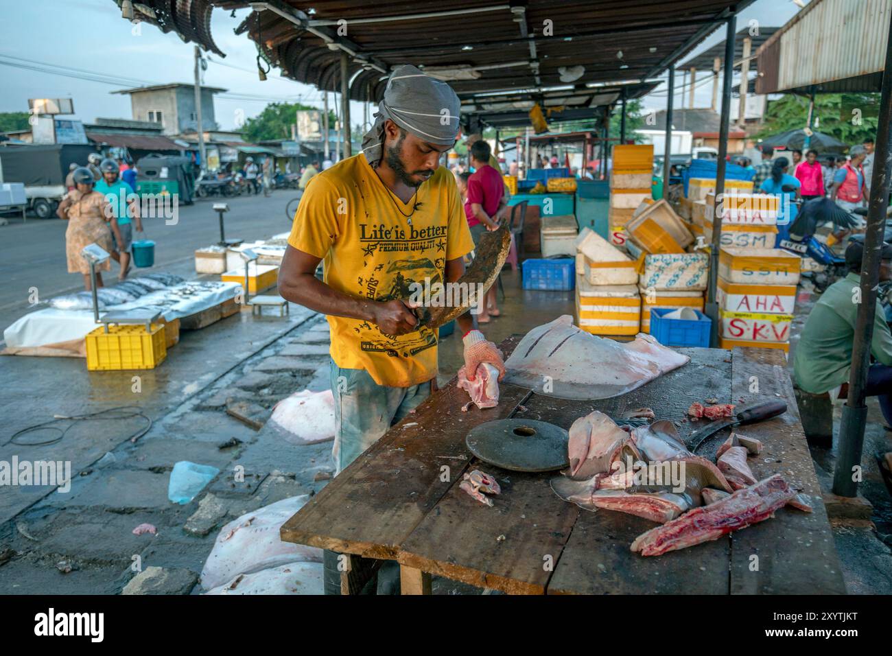 A fishmonger cuts seafood products with a knife at the Negombo Fish ...
