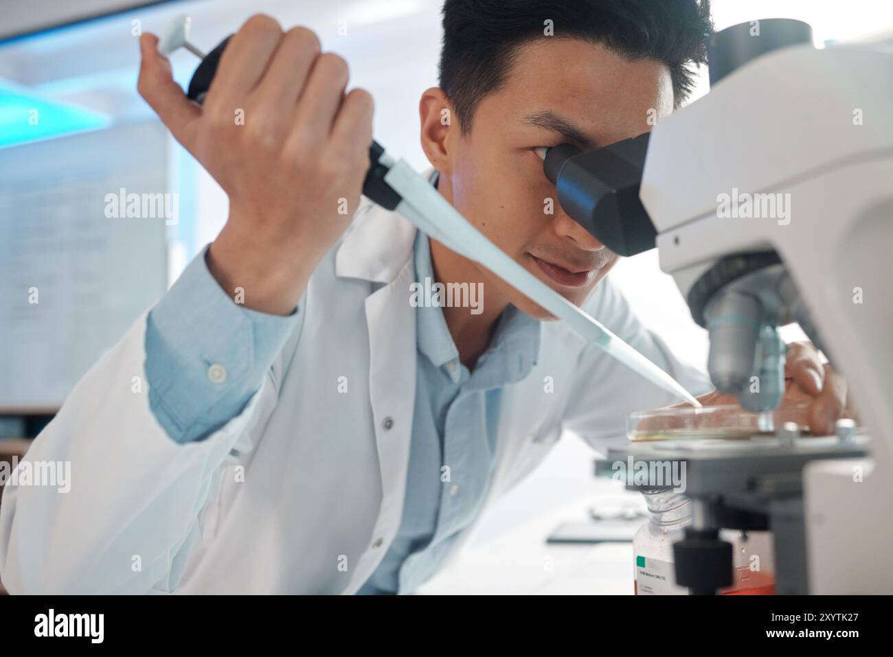 Asian man, scientist and pipette in petri dish in microscope at ...