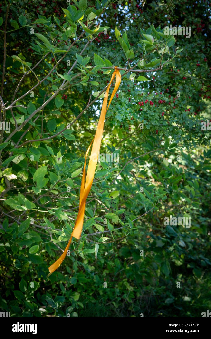 Ribbon in breeze hi-res stock photography and images - Alamy