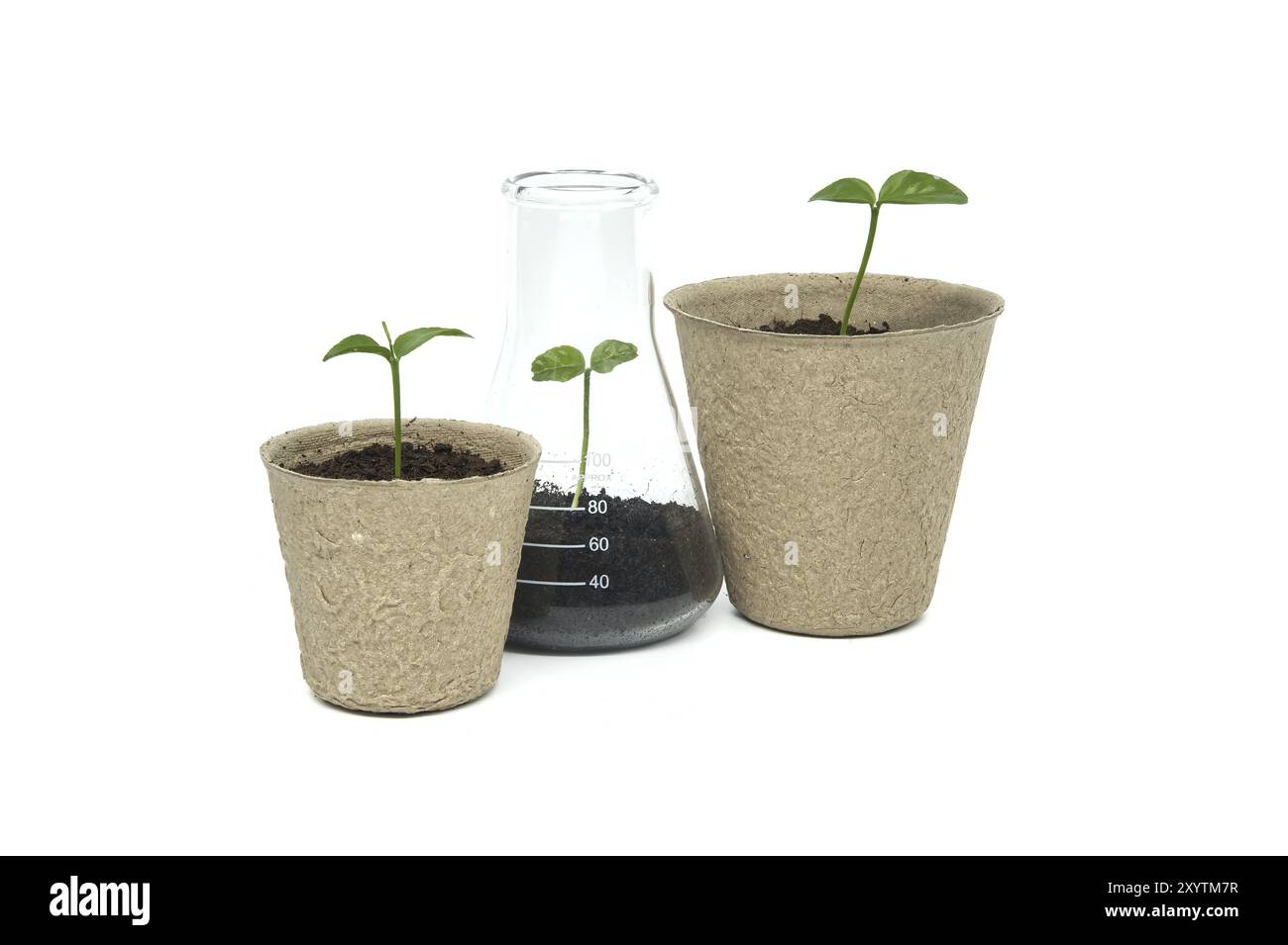 Soil cultivations Cut Out Stock Images & Pictures - Alamy