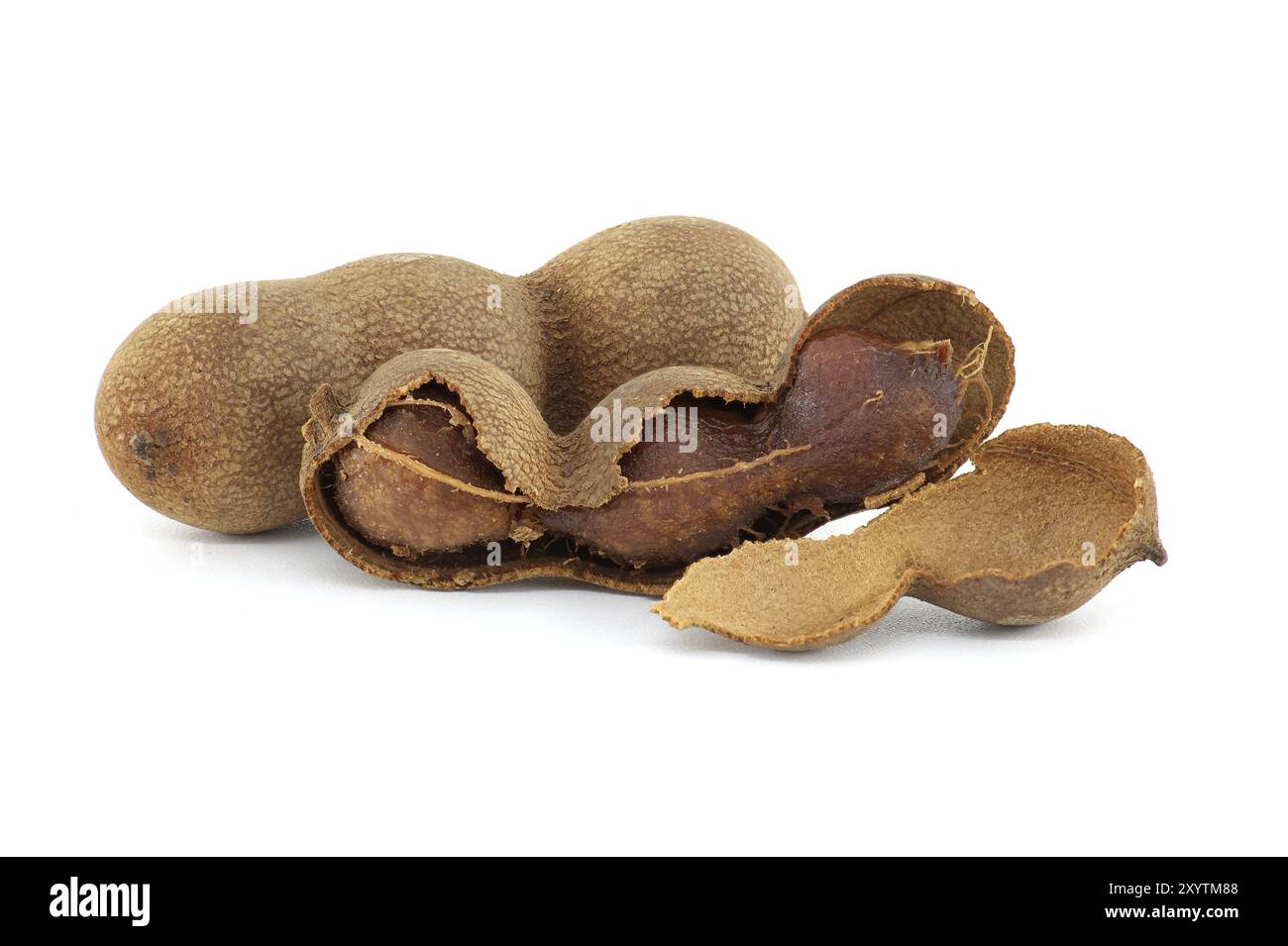 Tamarind fruits, whole and cracked open isolated on white background ...