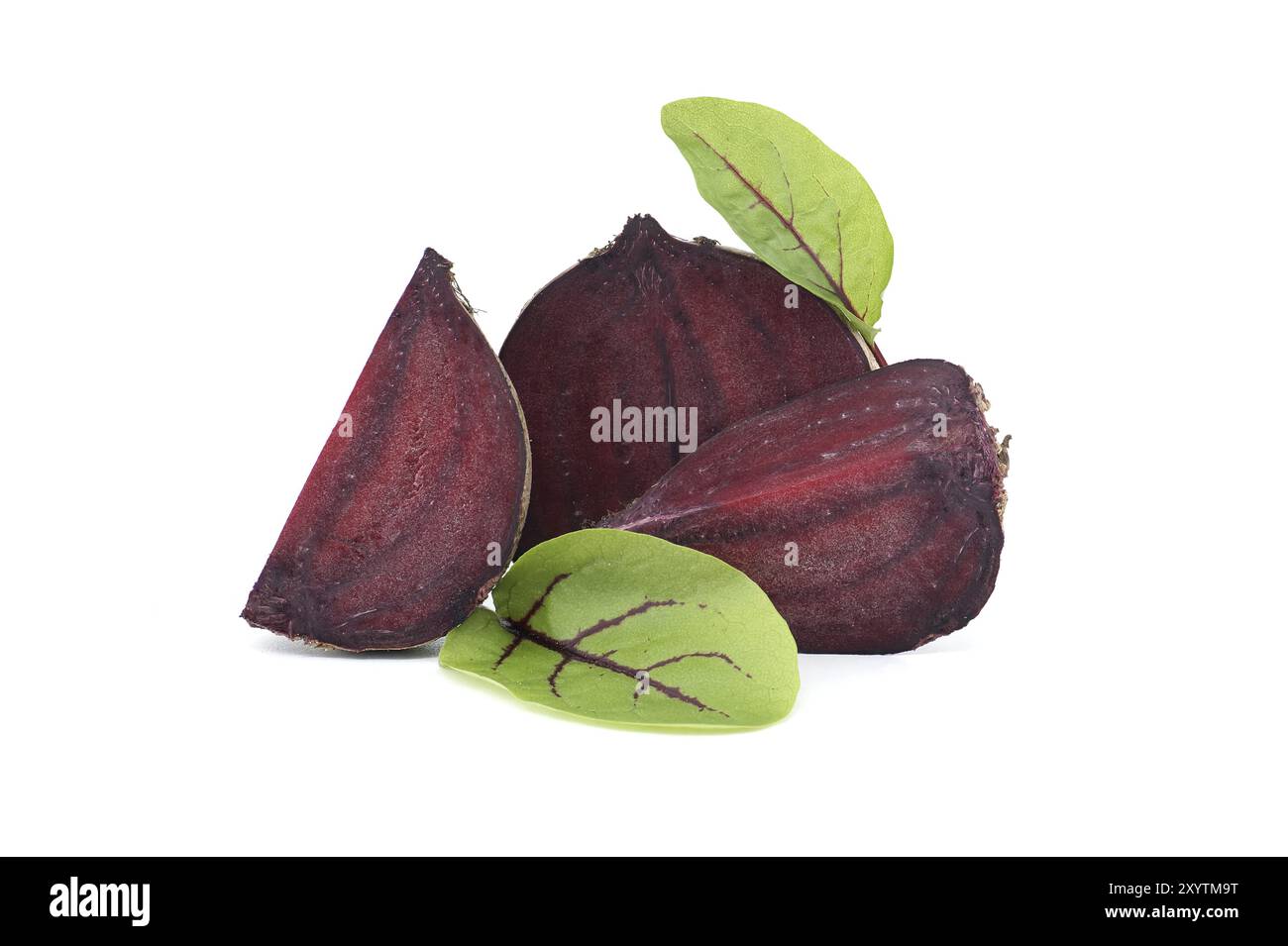 Slices of beetroot revealing their vibrant purple interiors complete with their fresh green ...