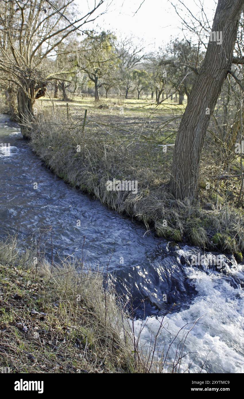 Exter hi-res stock photography and images - Alamy