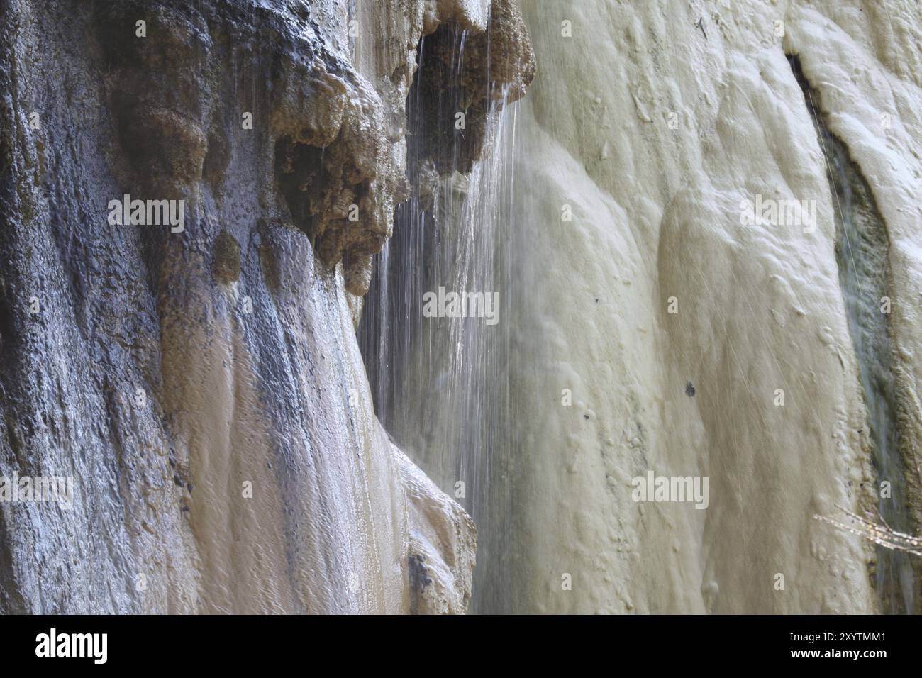 Spring tuff in Lingenau, Bregenzerwald, lime sinter Stock Photo - Alamy