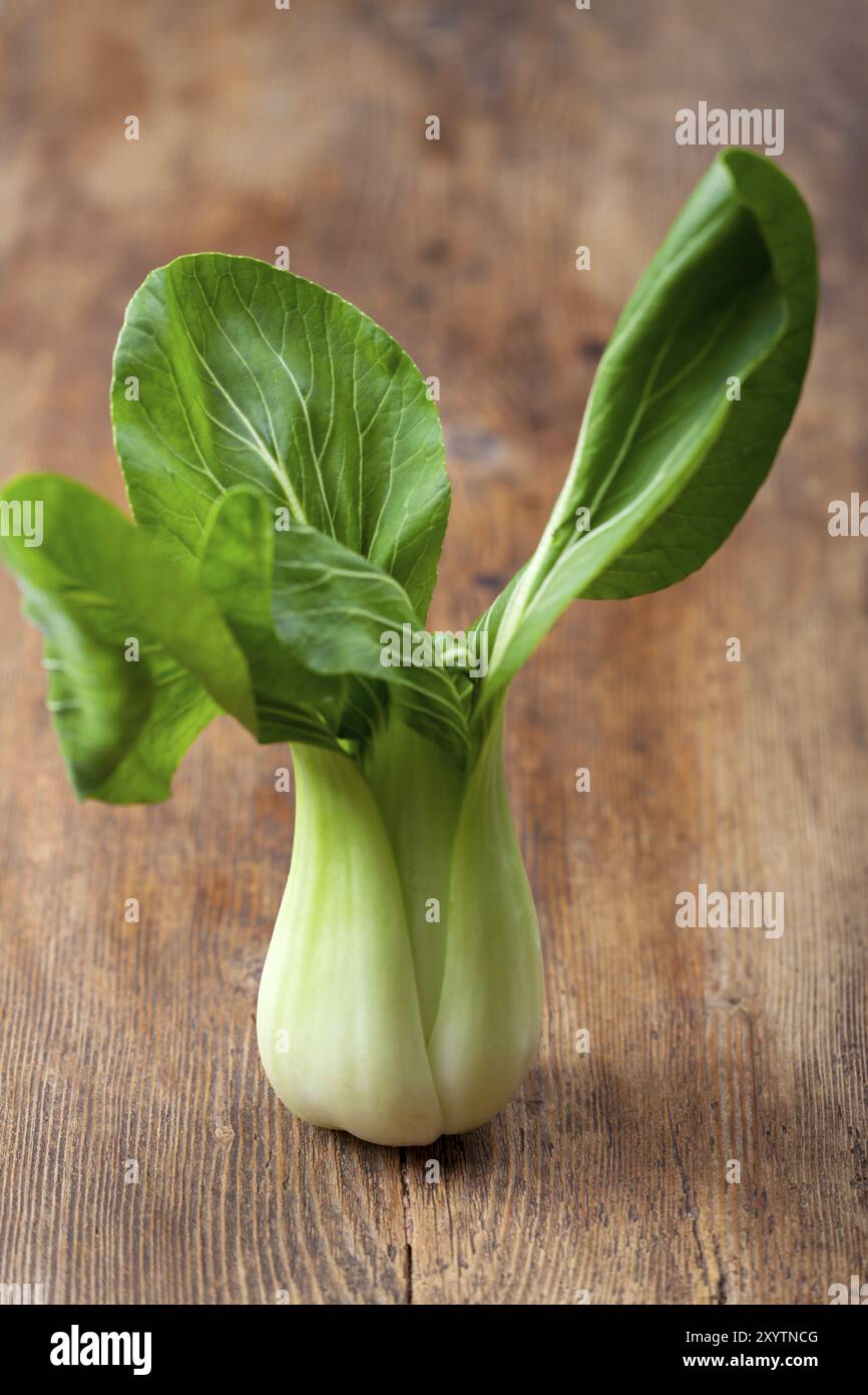 Asian pak choi hi-res stock photography and images - Alamy