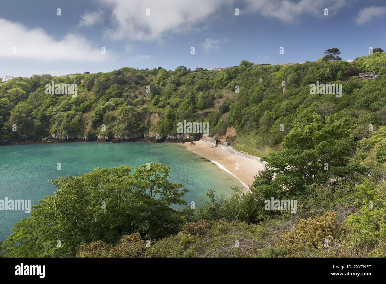 South coast of the Channel Island of Guernsey in spring Stock Photo - Alamy