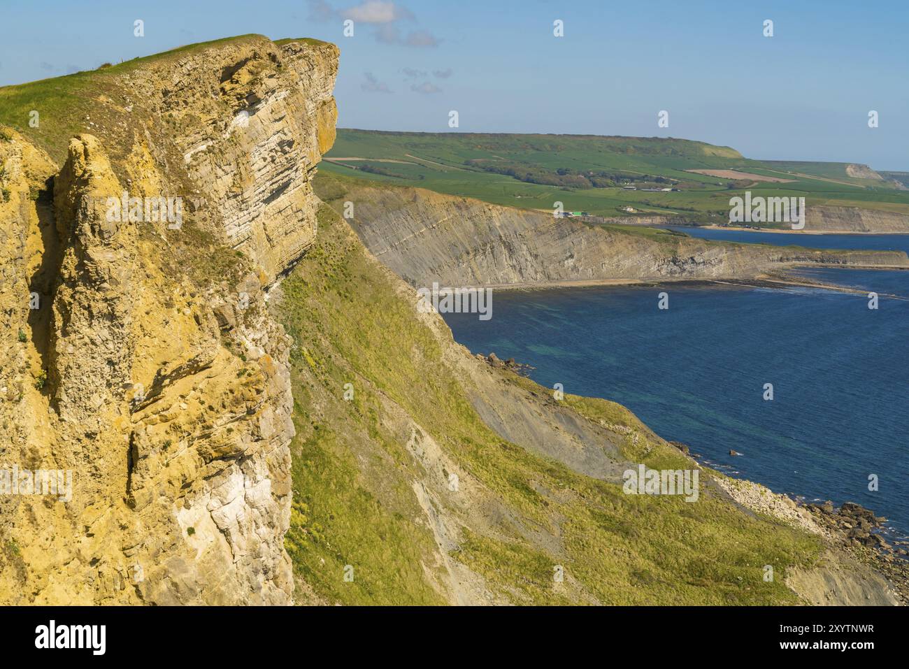 Cliffs at the Jurassic Coast, seen on South West Coast Path between Worbarrow Bay and Brandy Bay ...