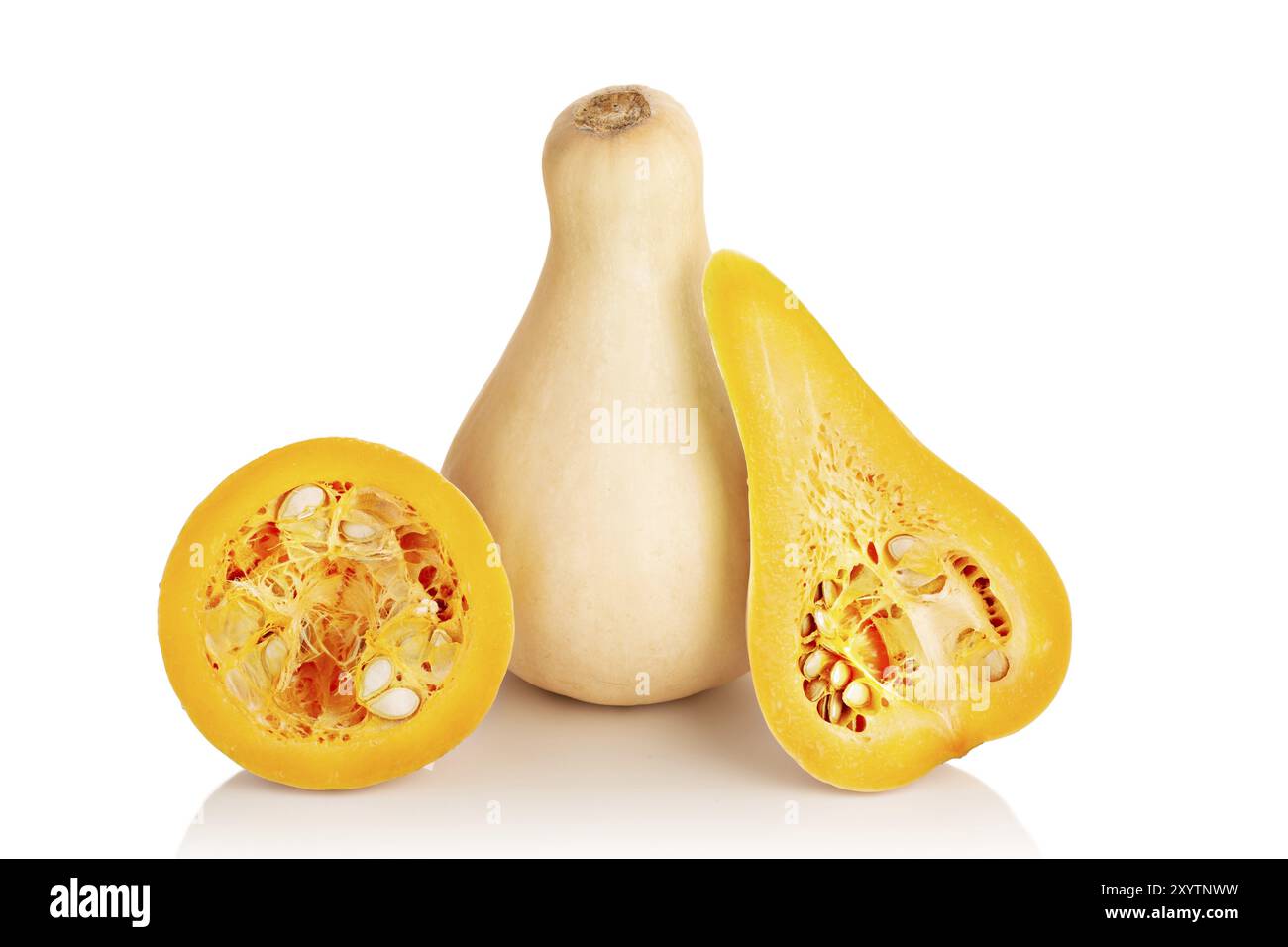 Fresh butternut squash isolated on a white background. Cucurbita ...