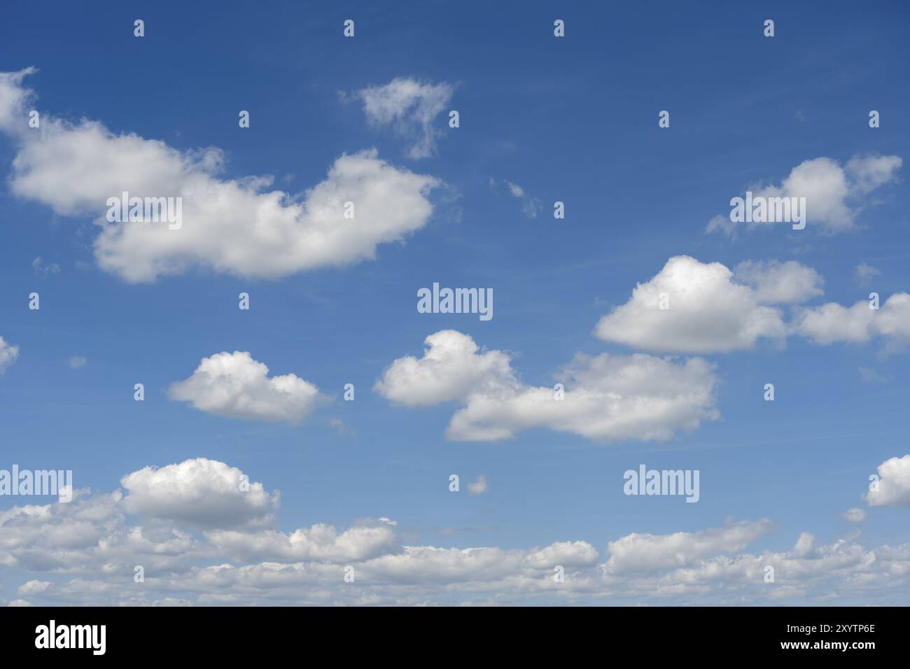 Cumulus mediocris cloud hi-res stock photography and images - Alamy
