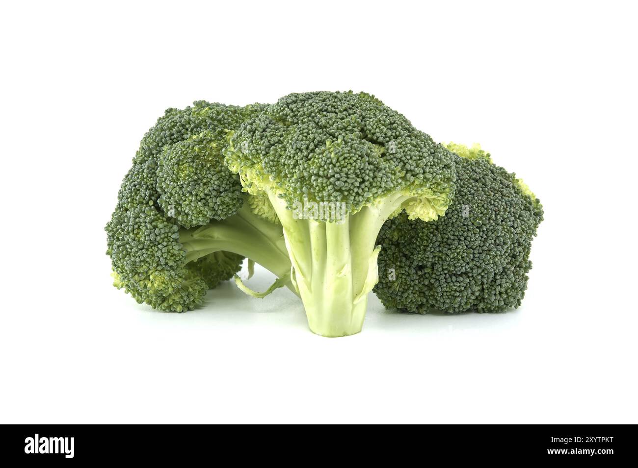 Fresh raw broccoli isolated on white background, full depth of field ...