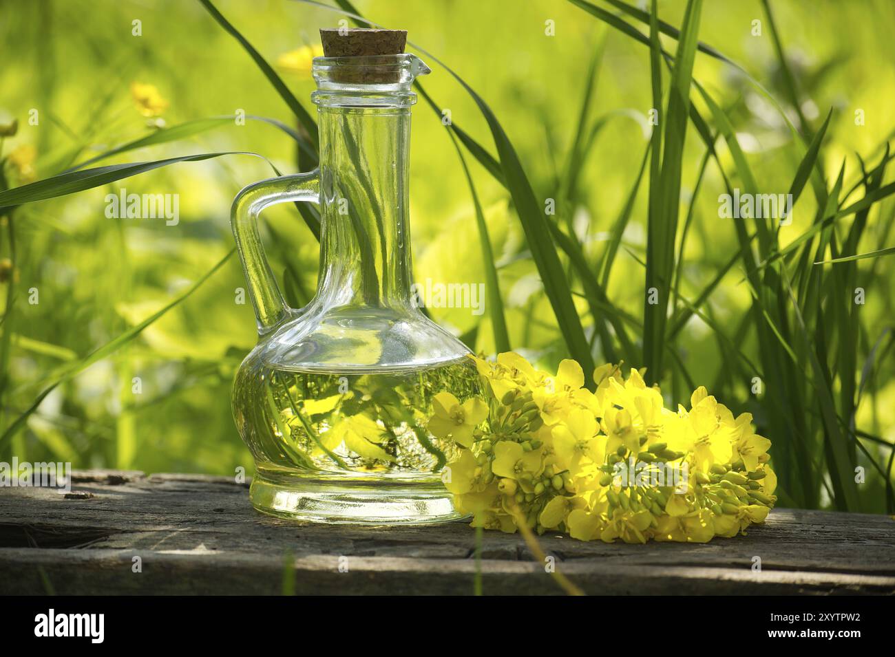 A transparent glass bottle, topped with a cork and brimming with oil ...