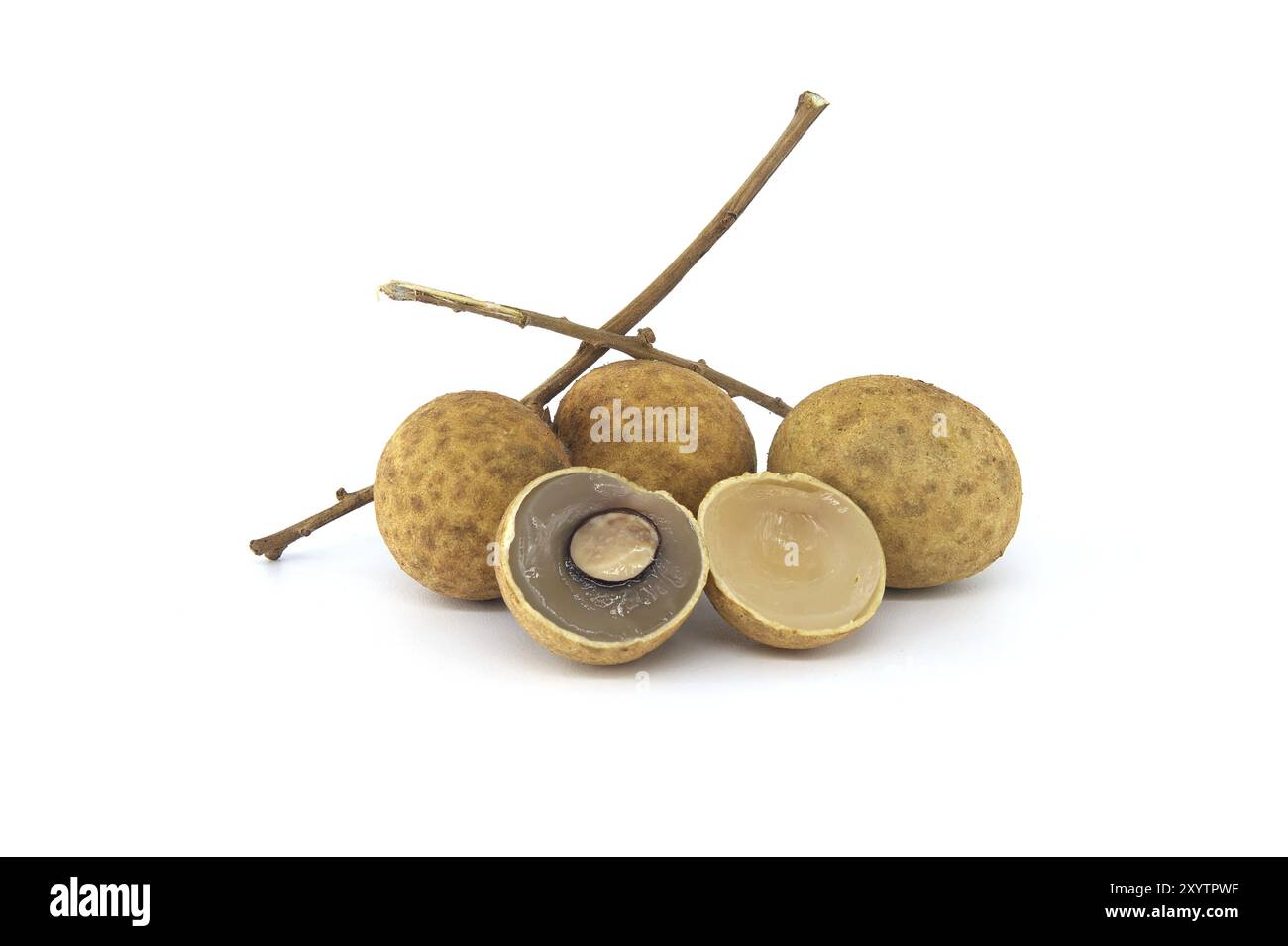 Longan fruits on branch, one of the fruits is cut open, displaying its ...