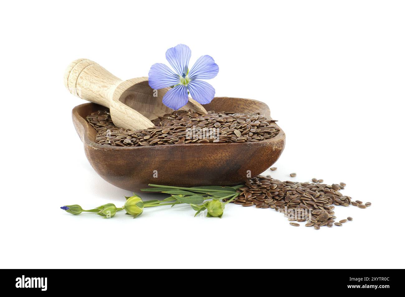 Wooden bowl filled with linseed seeds and a vibrant purple flax flower isolated on white ...