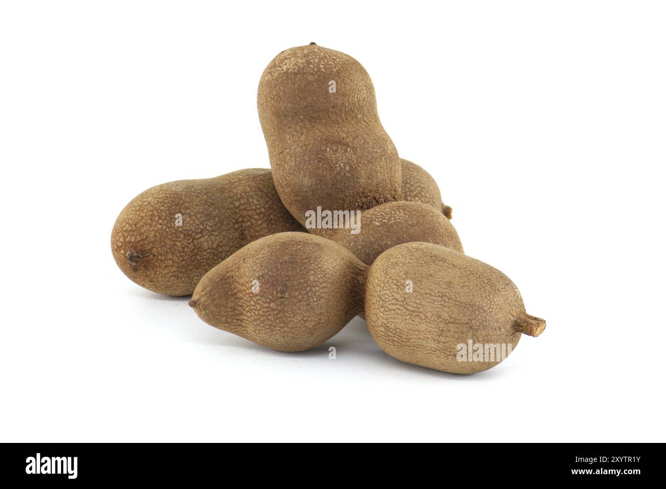 Tamarind fruit pods isolated on white background (Tamarindus indica ...