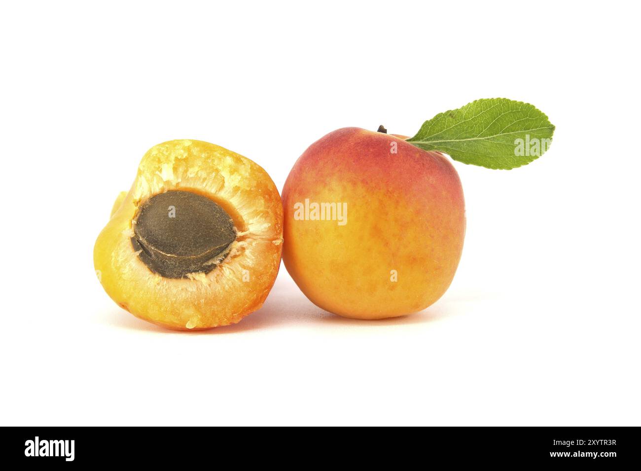 Whole apricot fruit with leaf and halved apricot isolated on white ...