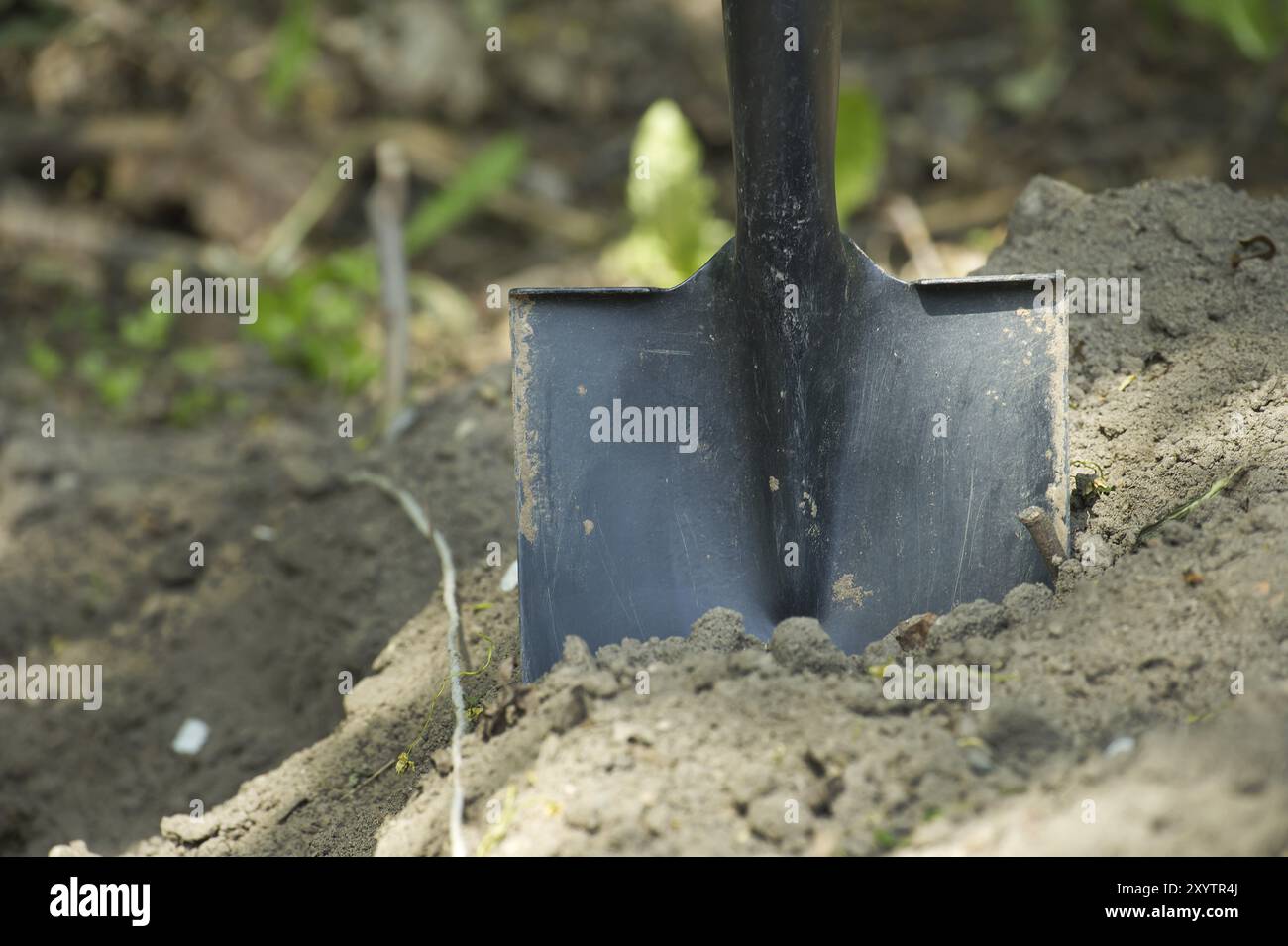 Spade in ground hi-res stock photography and images - Alamy