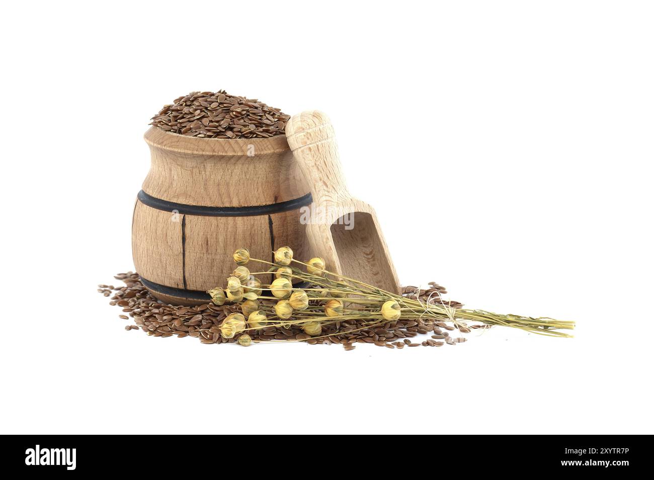 Linseed in small wooden barrel near bunch of flax plants and wooden scoop isolated on white ...