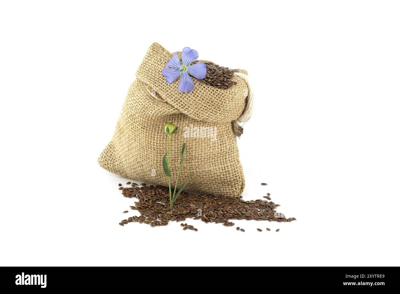 Flax seeds, also known as Linseed, Flaxseed and Common Flax in a burlap ...