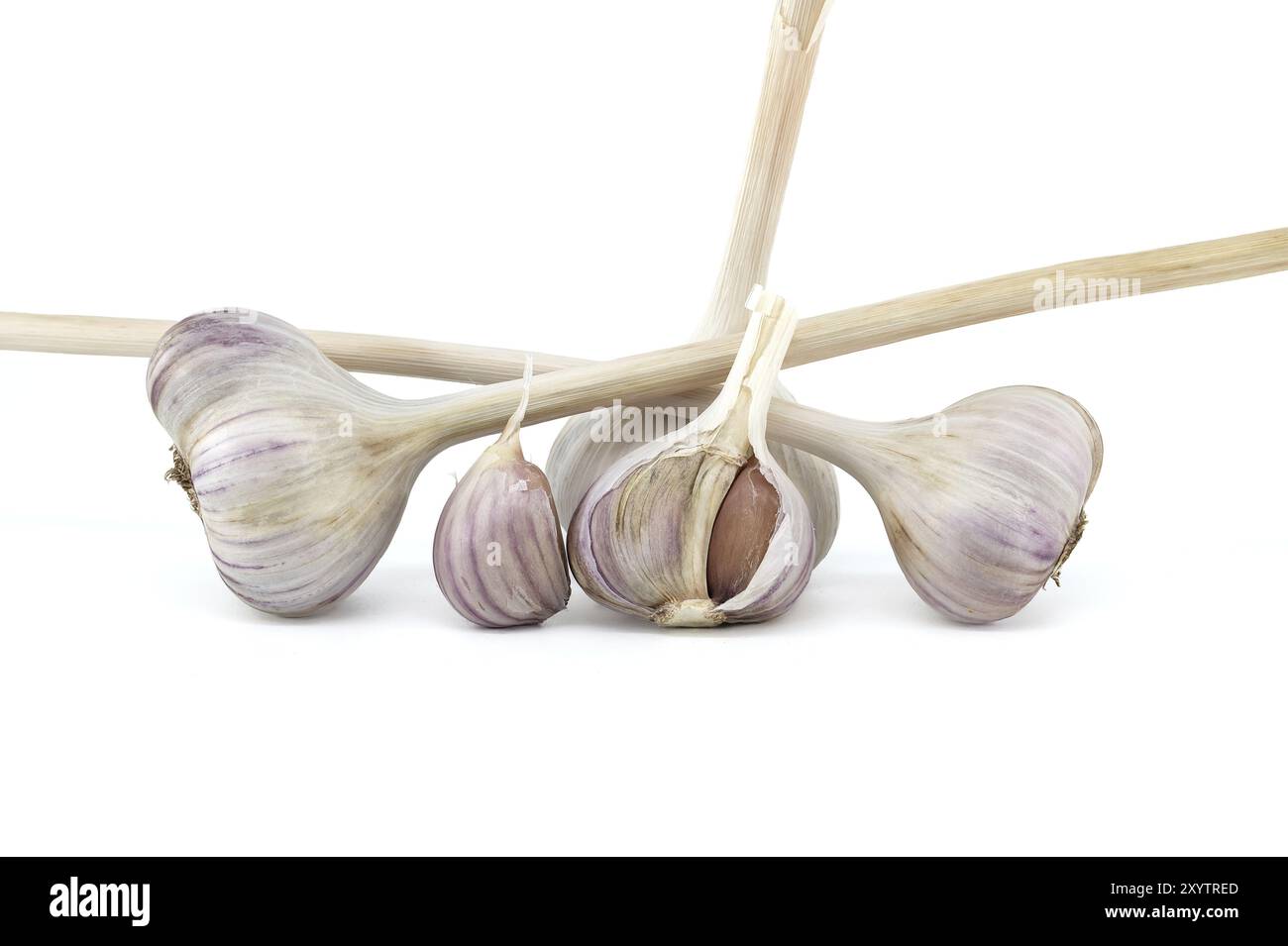 Garlic bulbs and cloves in close-up isolated on white background Stock ...