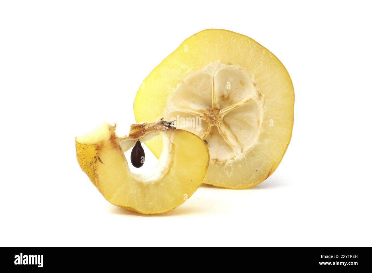 Photograph full red white Cut Out Stock Images & Pictures - Alamy