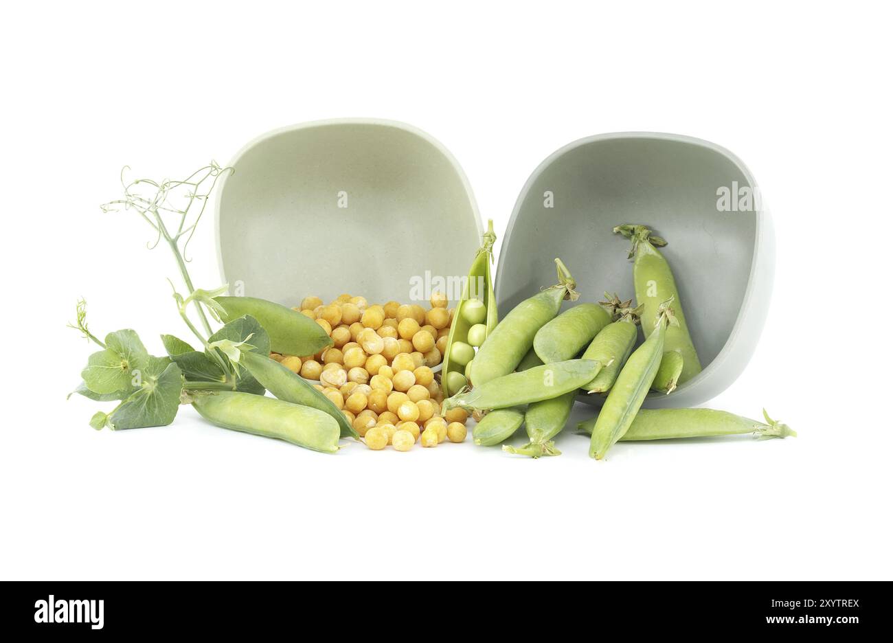Dried yellow peas spilling out from bowl and fresh garden peas pods ...
