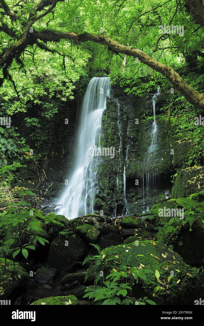 The Matai Falls in New Zealand, Otago, South Island, New Zealand ...