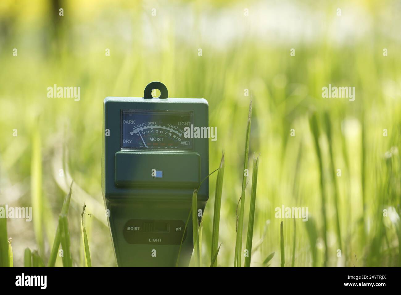 Soil moisture, light intensity and PH testing meter in close up ...