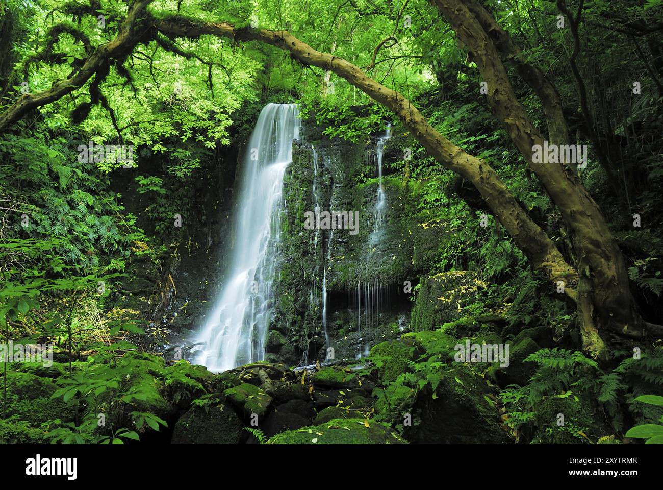 The Matai Falls in New Zealand, Otago, South Island, New Zealand ...