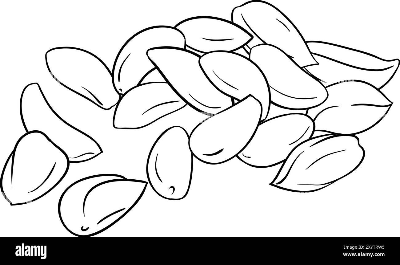 Brazil Nuts Isolated Outline Illustration Stock Vector Image & Art - Alamy