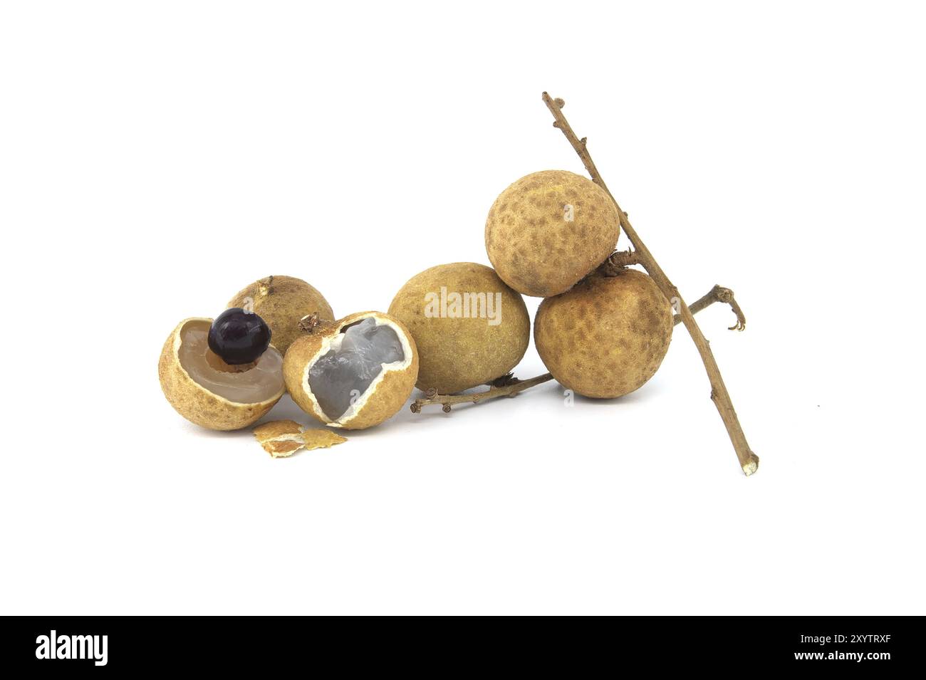 Dragon eye fruit, also known as longan bao is a longan fruit on a ...