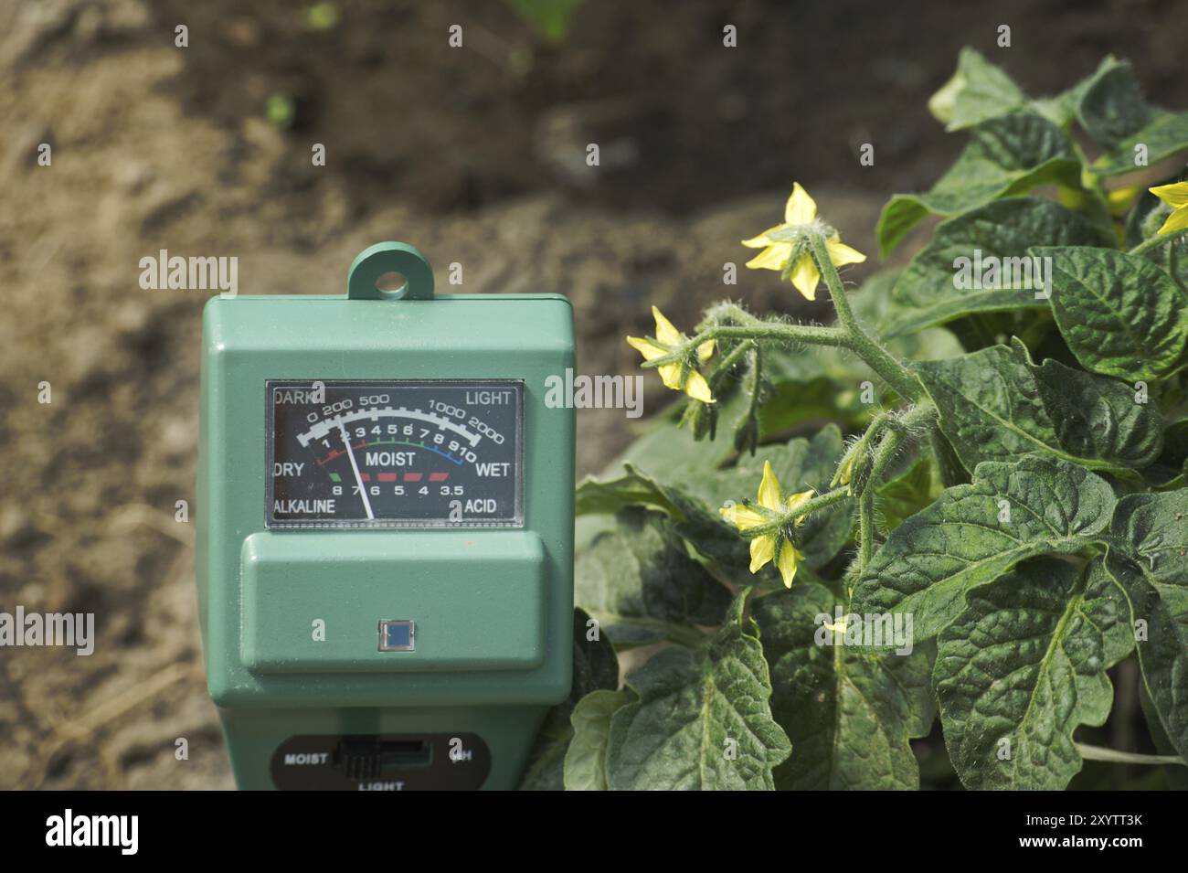 Agricultural meter to measure the soil pH, light and moisture level of ...