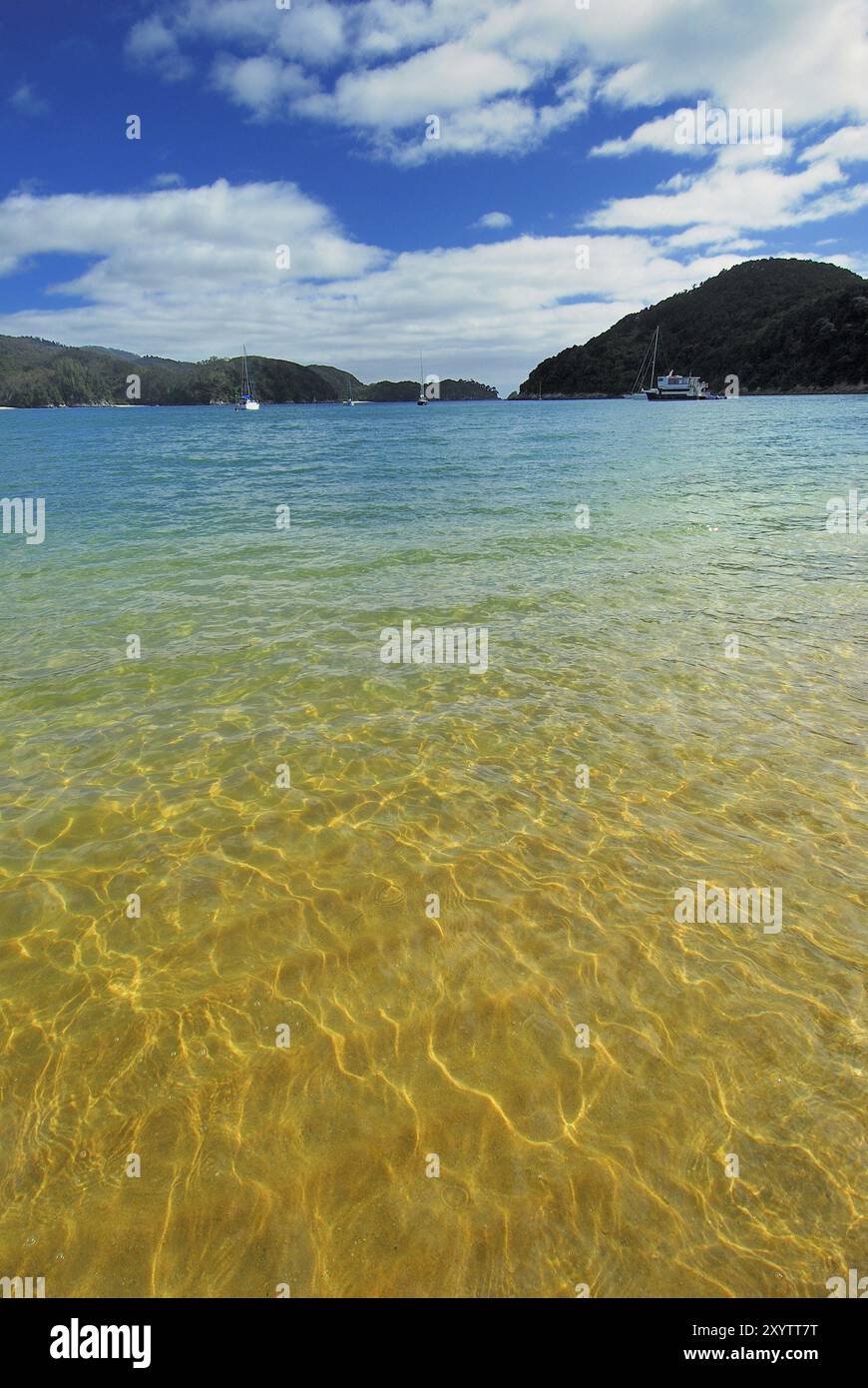 Sandy beach beach, Abel Tasman National Park, Tasman Sea, Nelson Region, South Island New ...