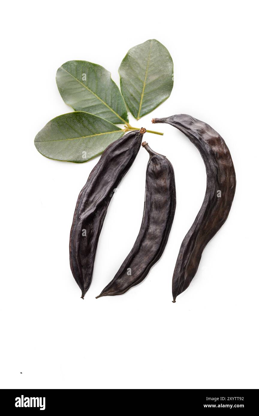 Carob carob fruit and seeds on white background. Isolate. Organic carob ...