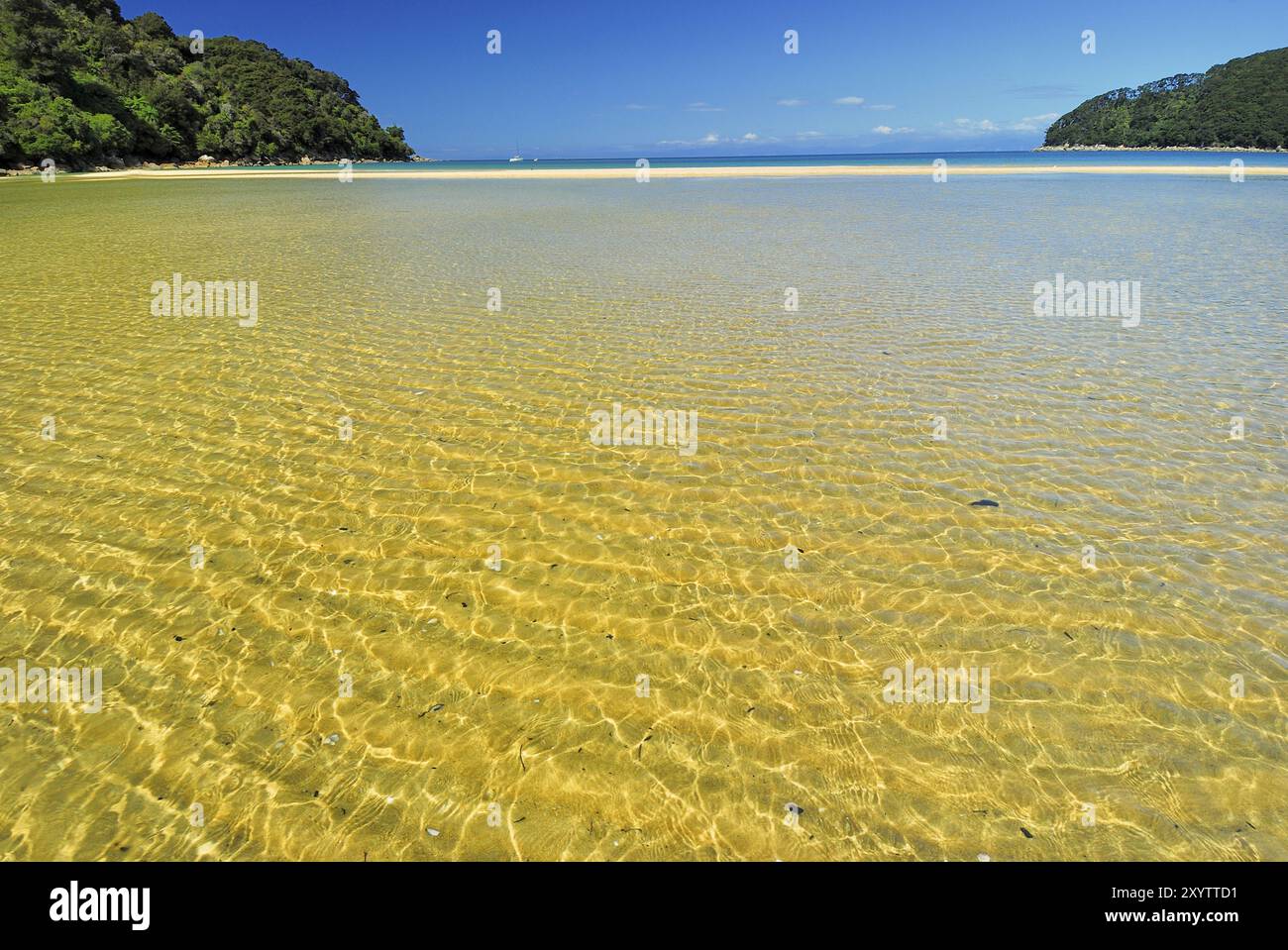 Sandy beach beach, Abel Tasman National Park, Tasman Sea, Nelson Region, South Island New ...
