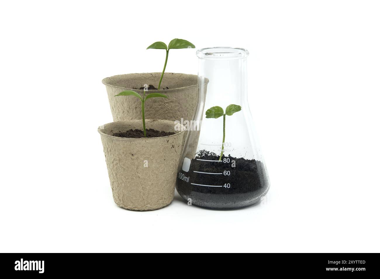 Planting lab Cut Out Stock Images & Pictures - Alamy