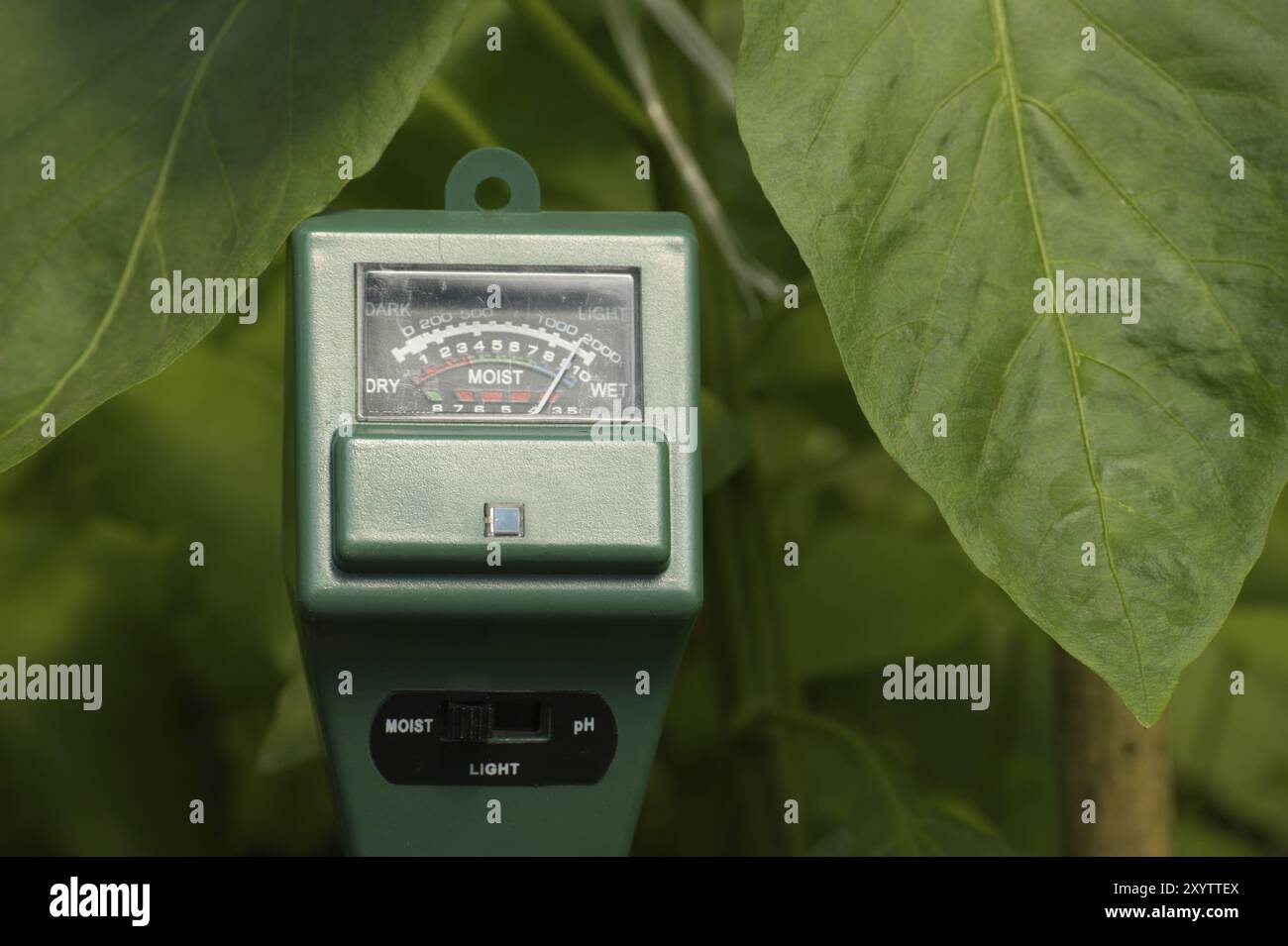 Green plants and three way meter PH, light and moisture in the soil ...