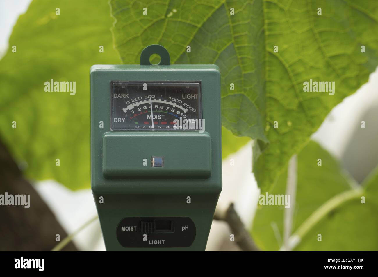 Green plants and three way meter PH, light and moisture in the soil ...