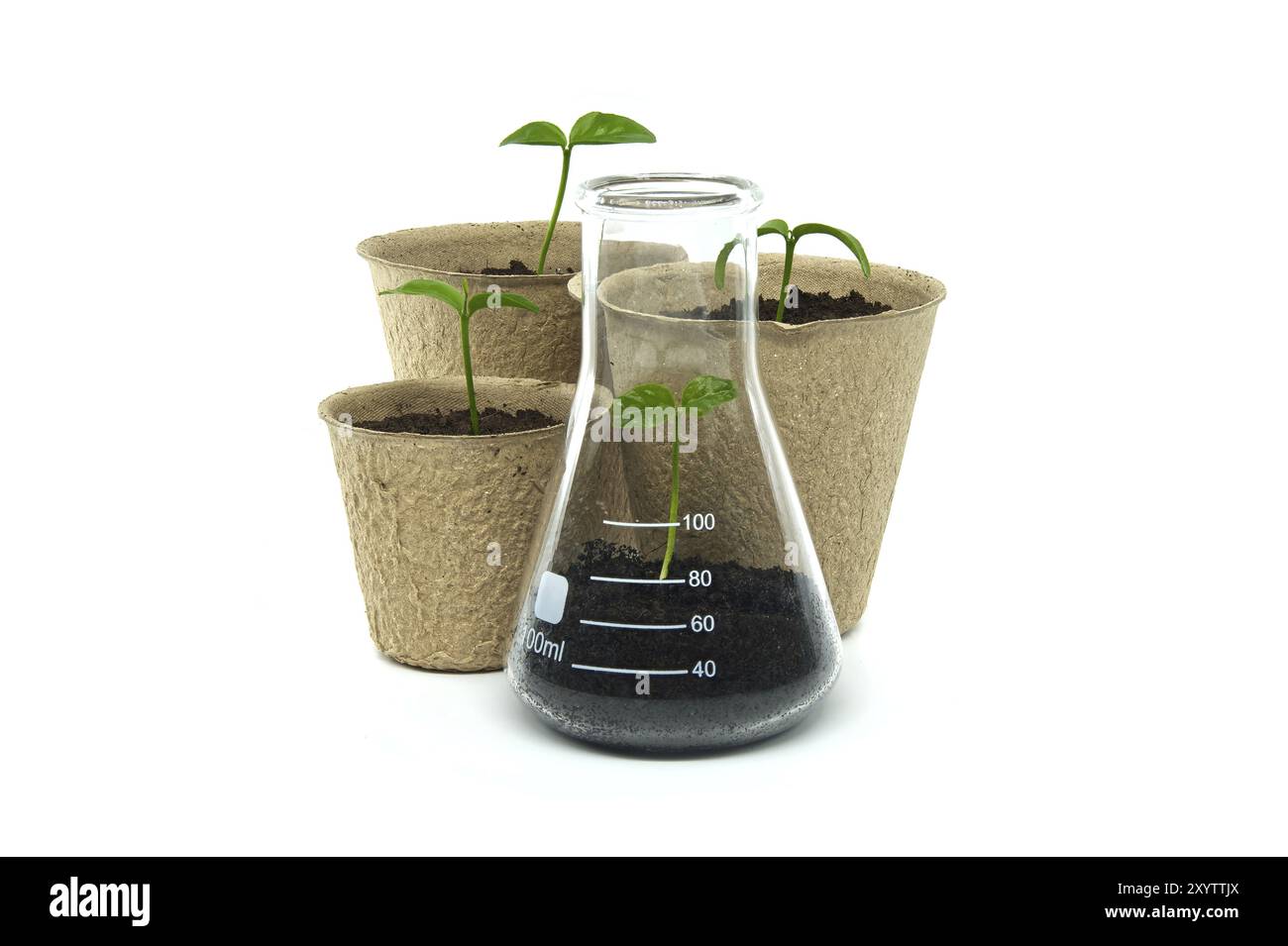 Soil cultivations Cut Out Stock Images & Pictures - Alamy