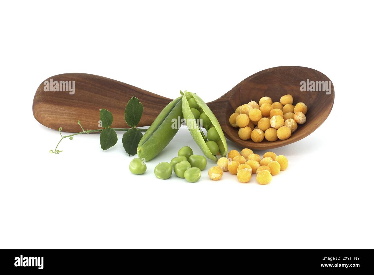 Papilionoideae Cut Out Stock Images & Pictures - Alamy