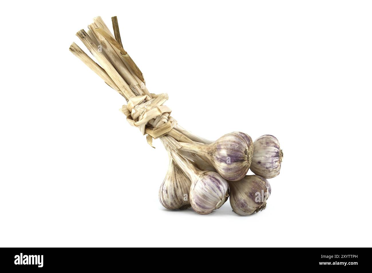 Braided garlic bulbs ready for storage isolated on white background ...