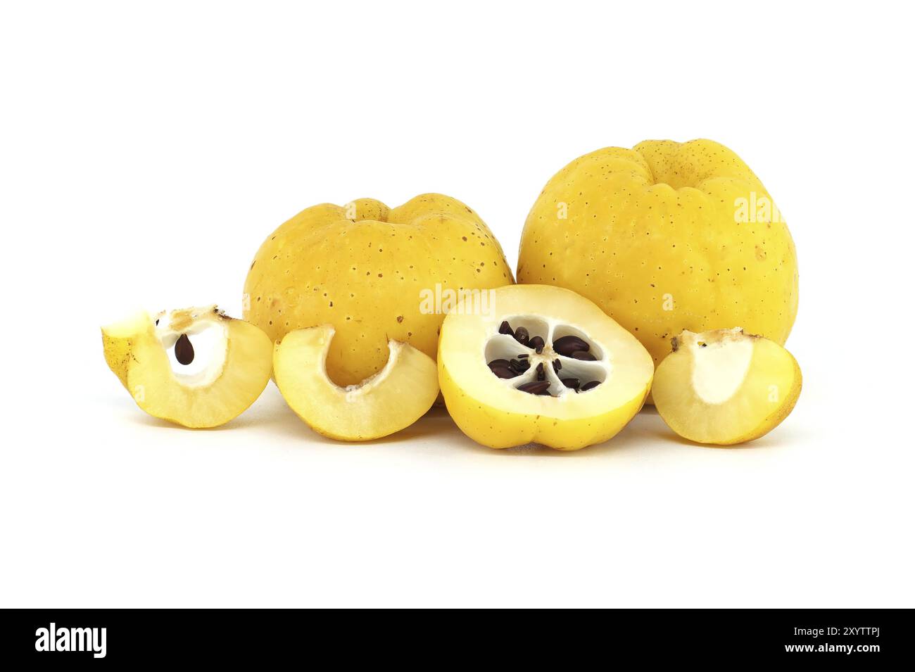 Yellow quince fruits whole and some cut in half to expose their seeds ...
