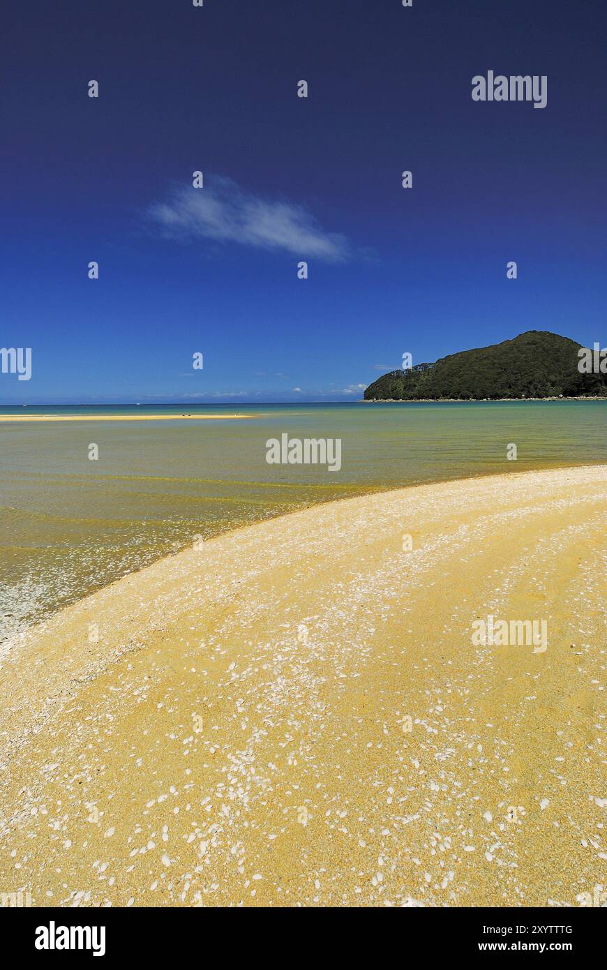 Sandy beach beach, Abel Tasman National Park, Tasman Sea, Nelson Region, South Island New ...