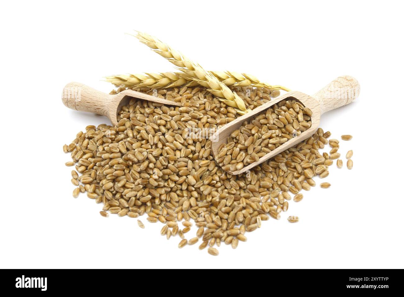 Spilling grass seed hi-res stock photography and images - Alamy