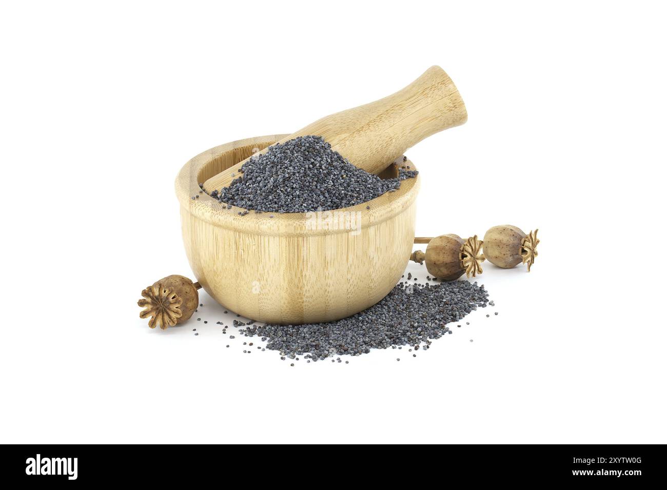 Dried poppy seed pods and poppy seeds in wooden mortar with pestle ...