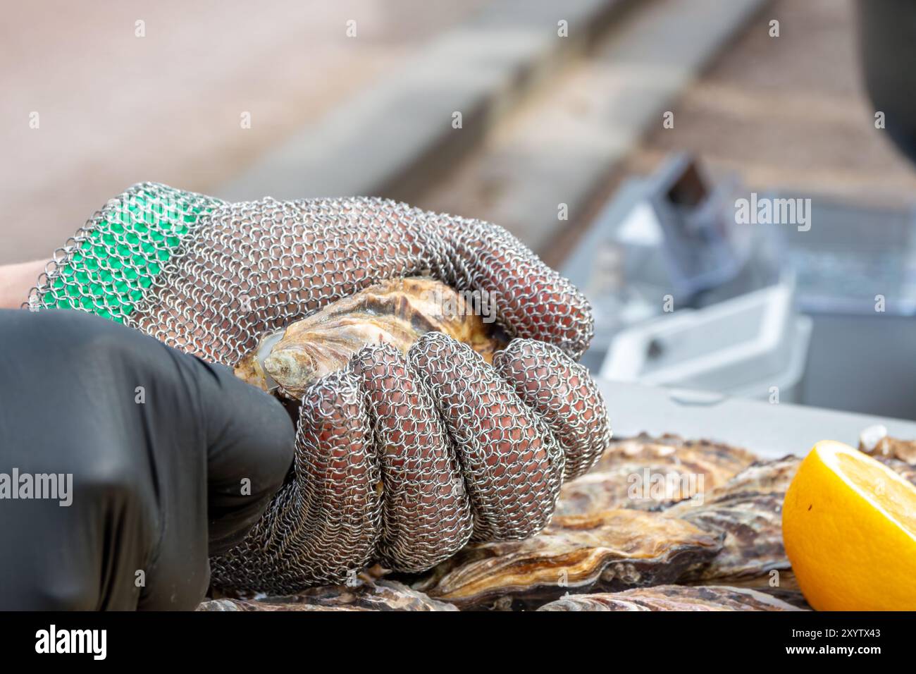 Portuguese rock oysters hi-res stock photography and images - Alamy