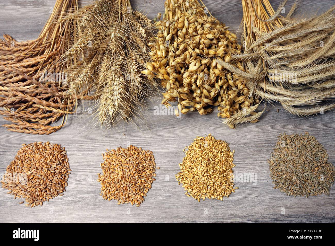 Grain sheaves with seed Stock Photo - Alamy