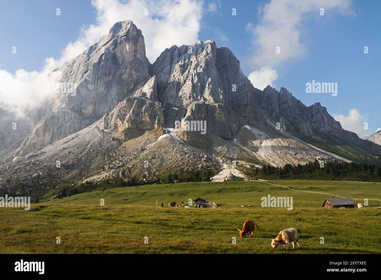 Hiker mountain top facing hi-res stock photography and images - Alamy