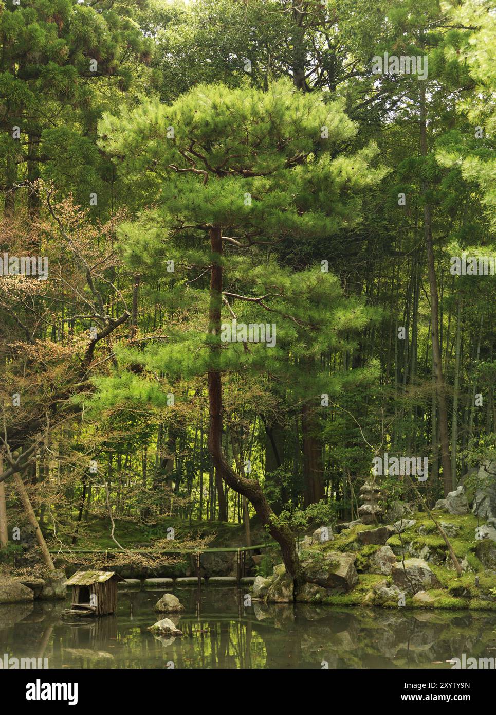 Japanese Zen garden with a pond. Kyoto, Japan, Asia Stock Photo - Alamy
