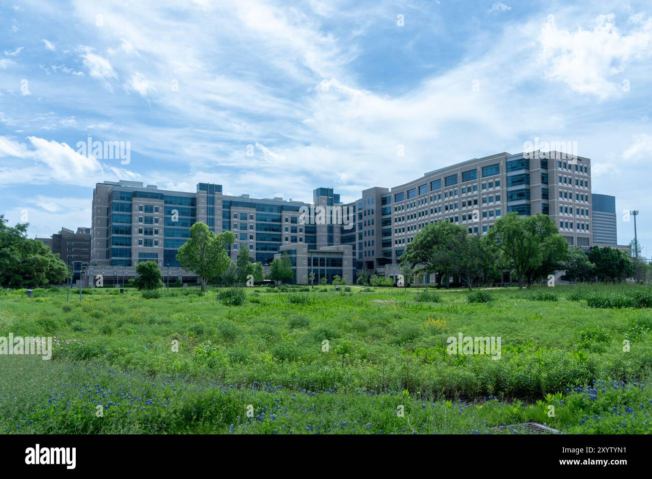 No dan hi-res stock photography and images - Alamy