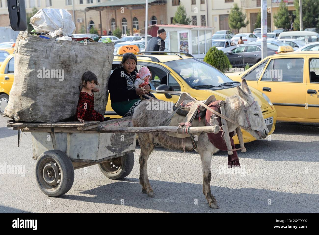 Mother with two young children on a cart drawn by a mule in the ...